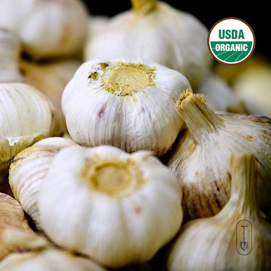 Zemo Culinary Garlic – Certified Organic | The Boreal Farm